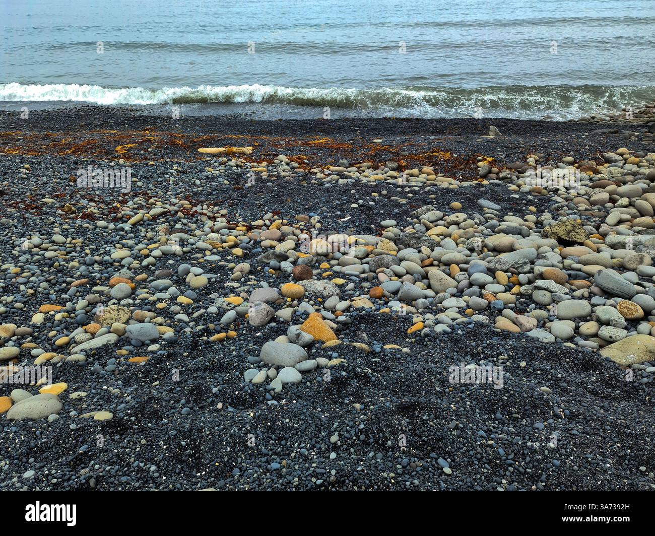 Colorful pebbles scattered across a black sand beach, with ocean waves ...