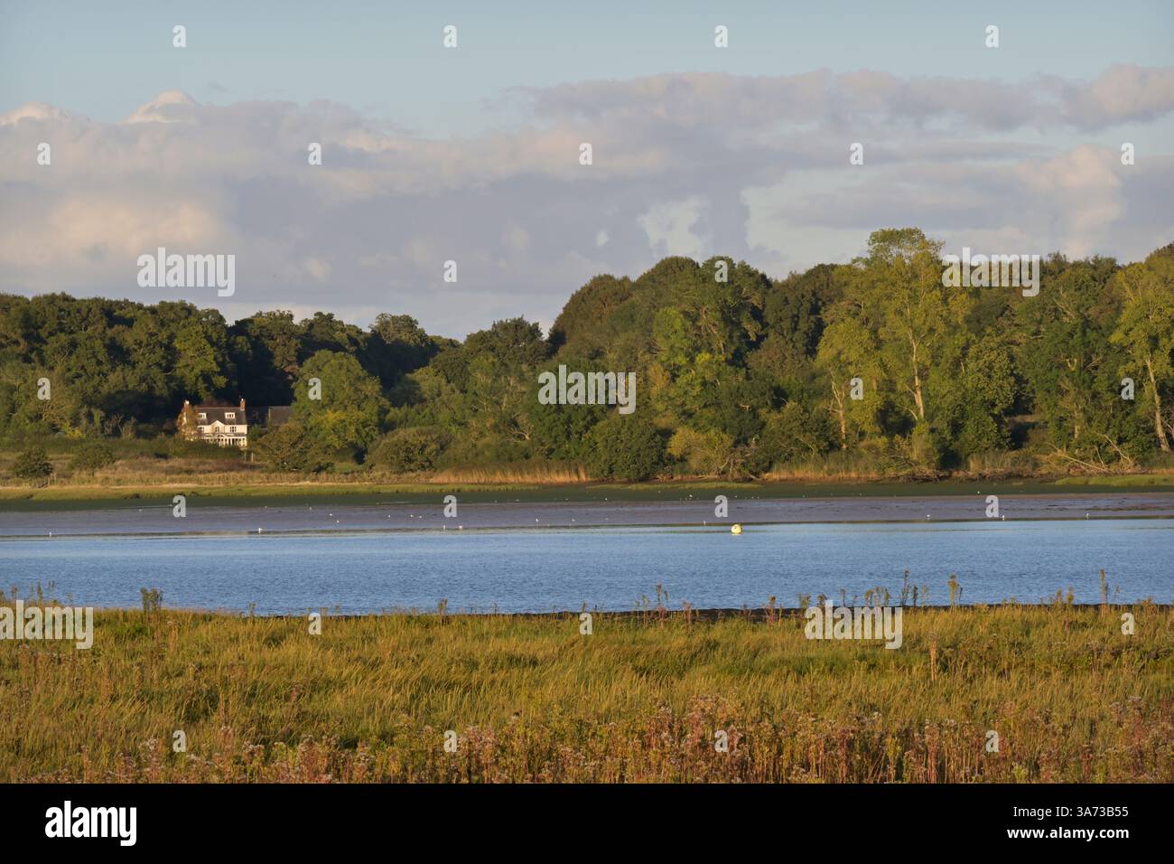 solitary cottage on banks of river deben, suffolk, england Stock Photo ...