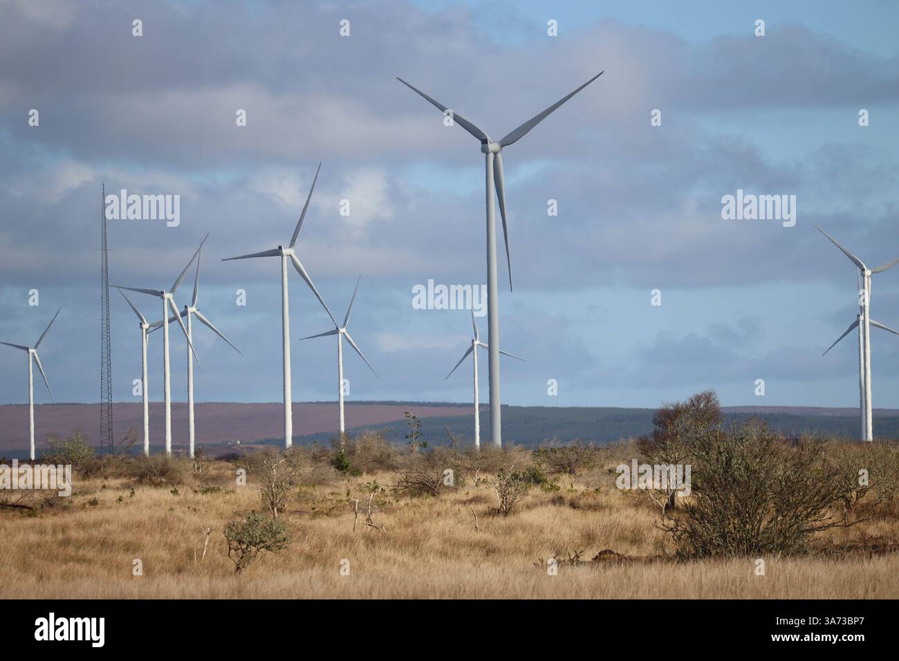 Wind Farms in Ireland play a crucial role in the country's renewable ...