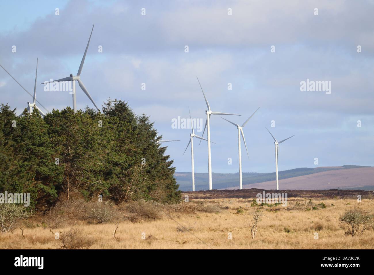 Wind Farms in Ireland play a crucial role in the country's renewable ...
