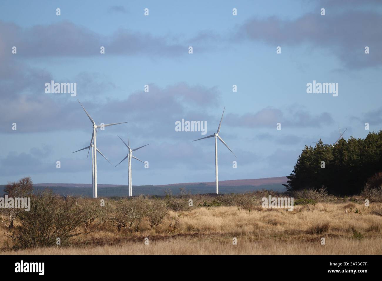 Wind Farms in Ireland play a crucial role in the country's renewable ...
