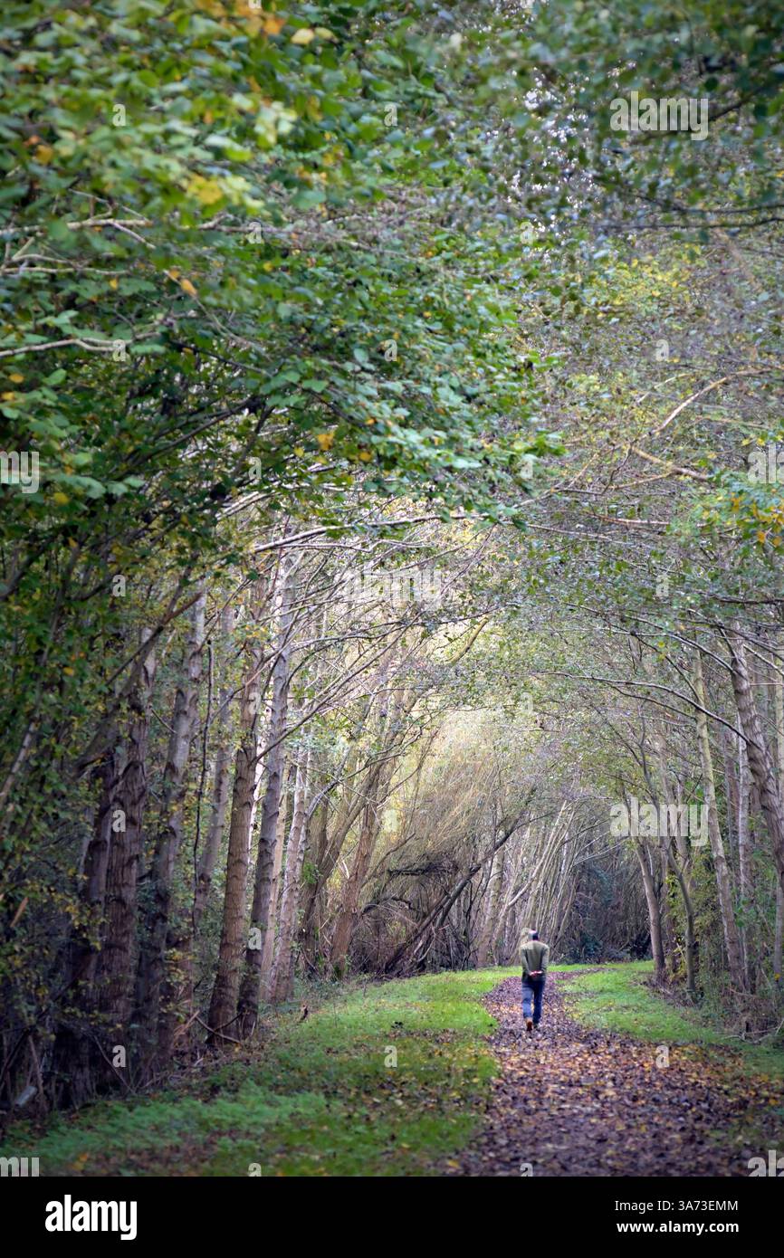 Man walking purposefully hi-res stock photography and images - Alamy