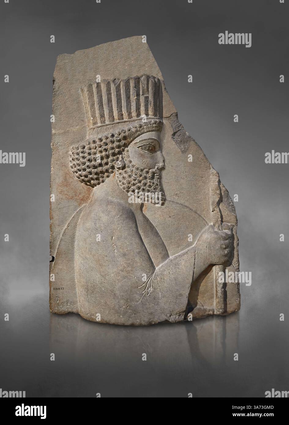 Ancient Persian Achaemenid bas relief sculpture panel showing an ...