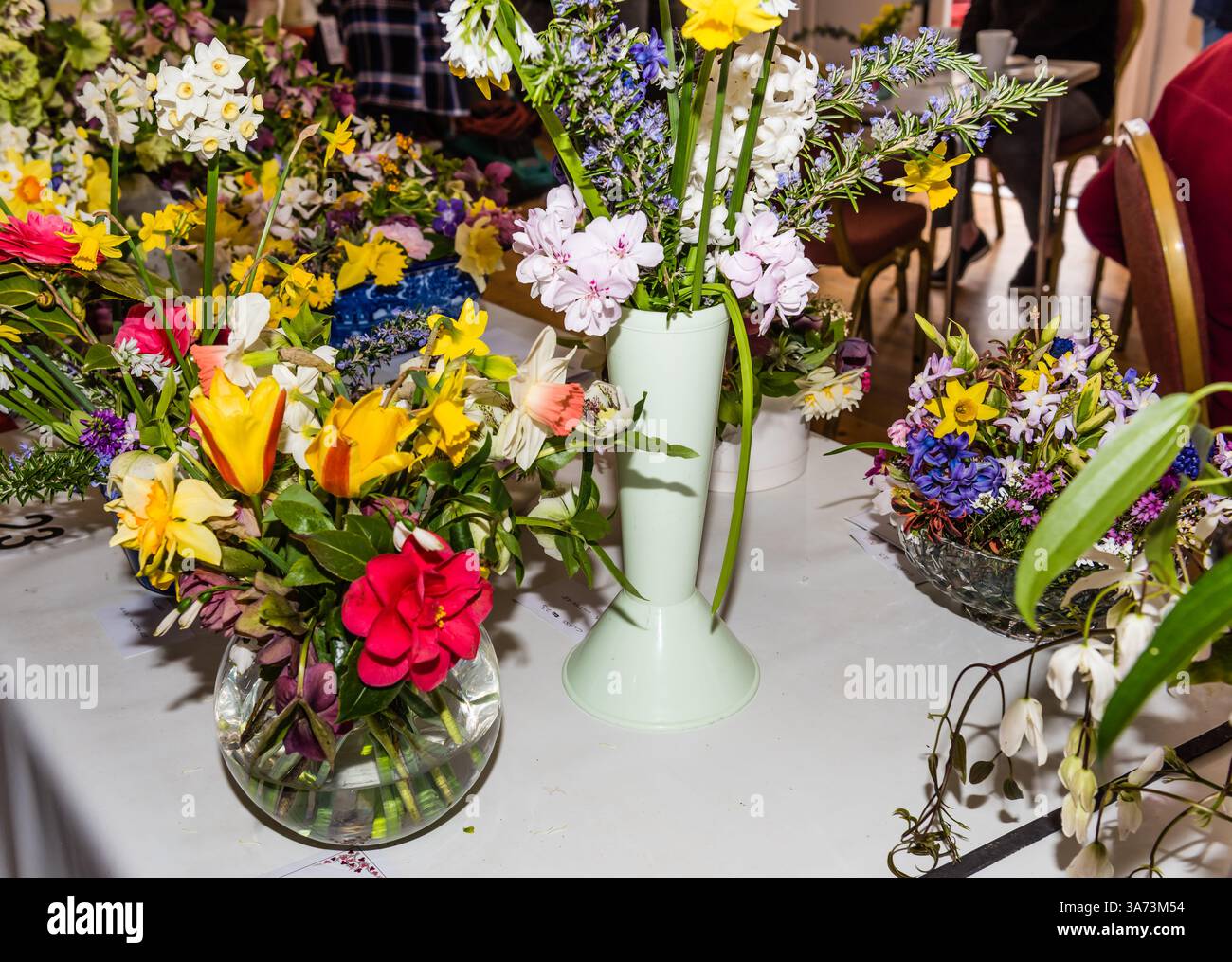 Flower display country show hi-res stock photography and images - Alamy