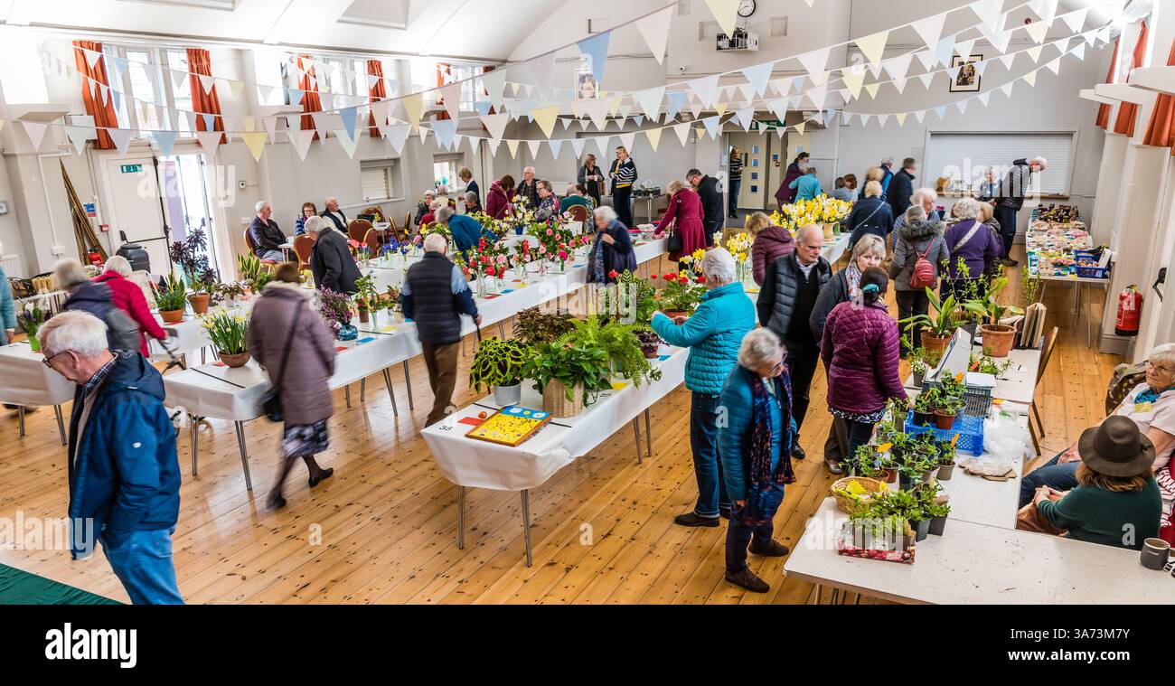 Budleigh Spring Flower & Produce Show Stock Photo - Alamy