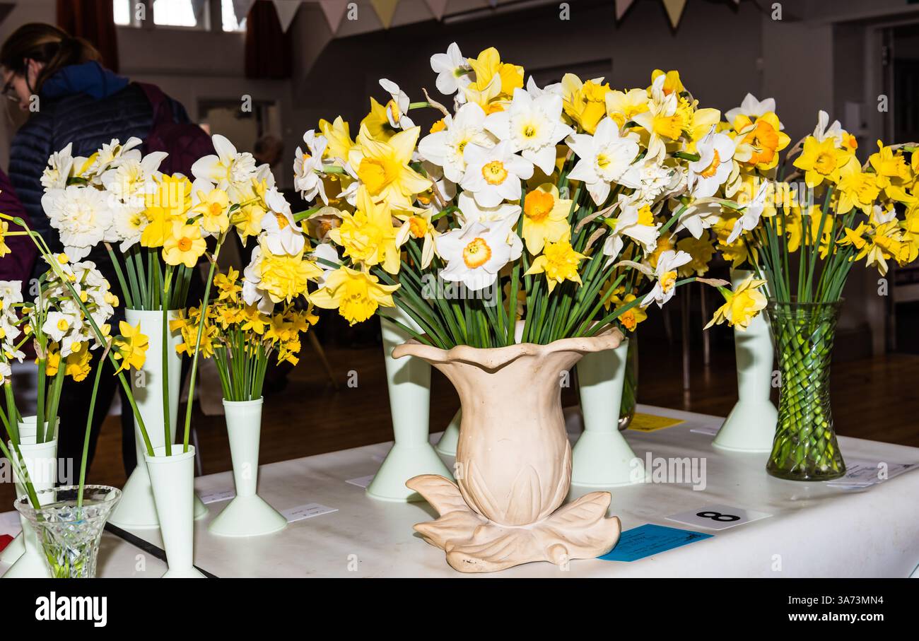 Budleigh Spring Flower & Produce Show Stock Photo - Alamy
