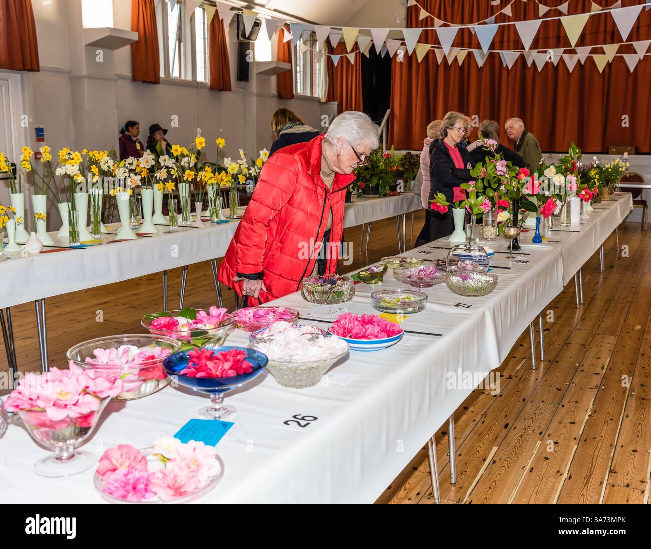 Budleigh Spring Flower & Produce Show Stock Photo - Alamy