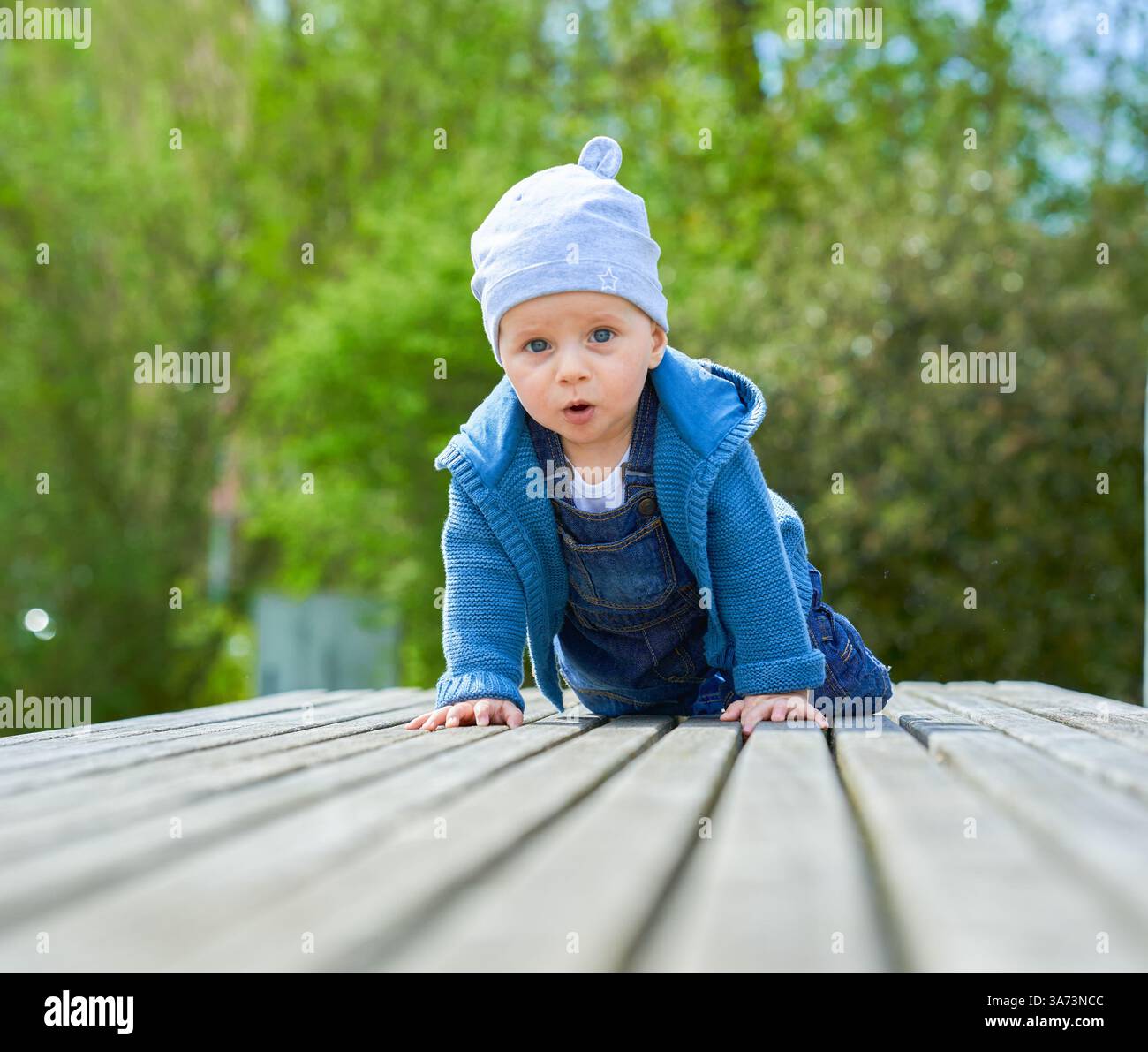 boy up to one year old boy European appearance blue eyes sits in summer ...