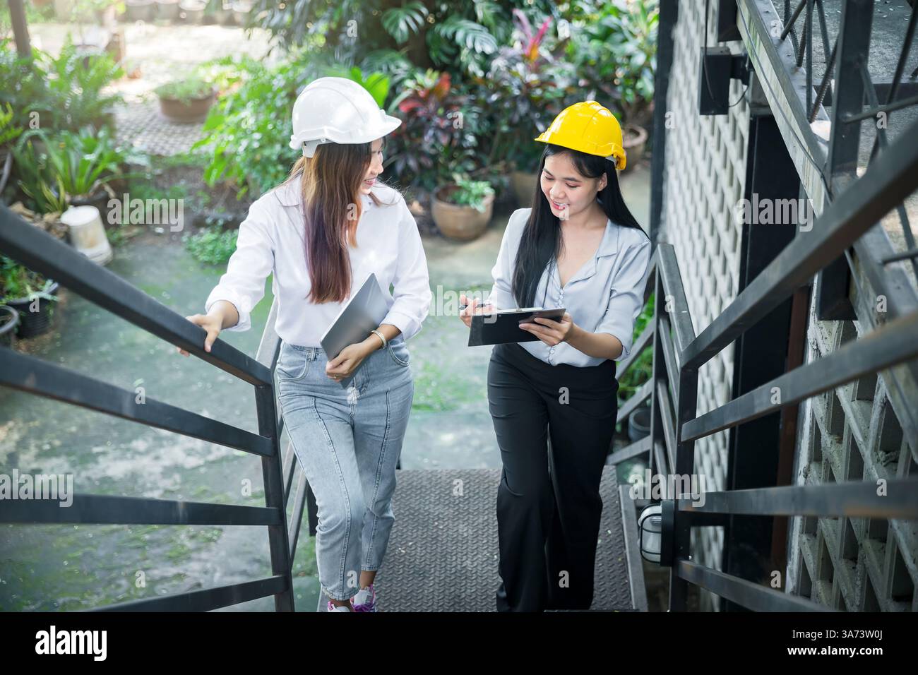 Two young female architects chatting as they walk up the stairs Stock ...