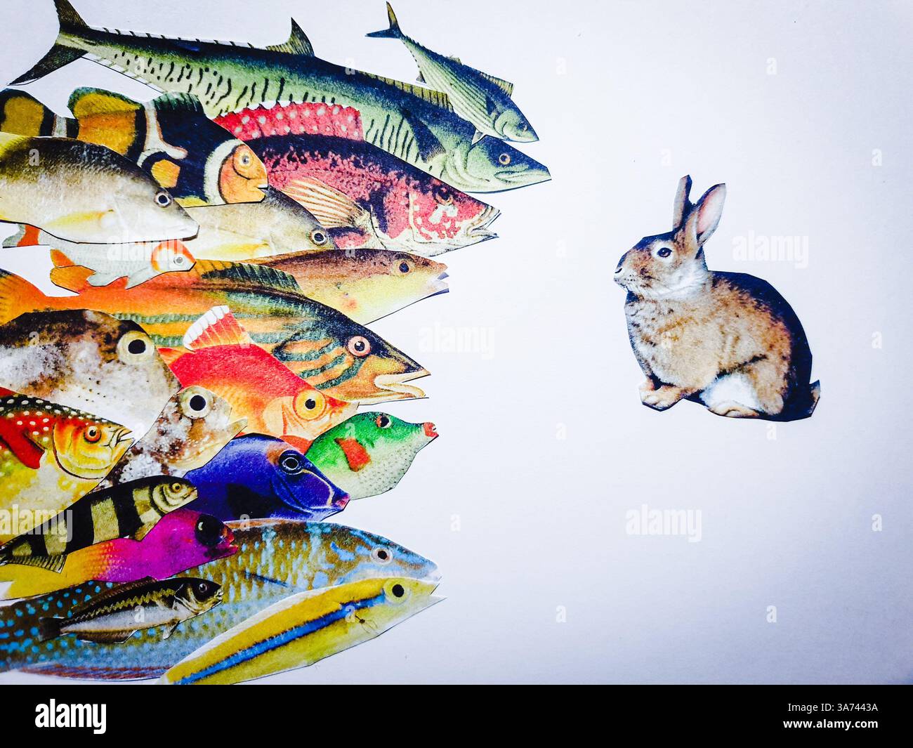 Conceptual collage art of a shoal of fish looking at a rabbit Stock ...