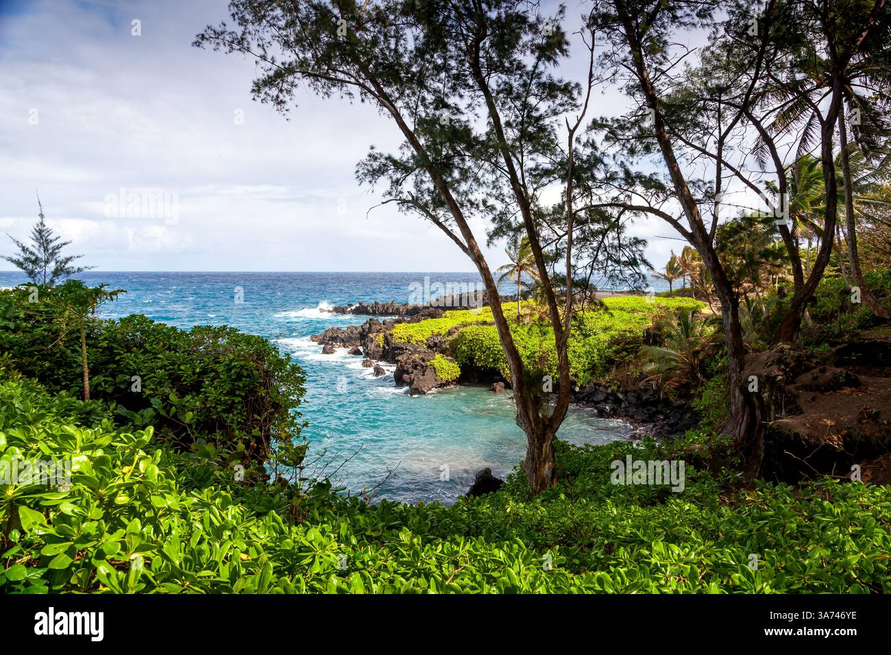 Experience the untouched beauty of Maui’s coastline, where jagged lava ...
