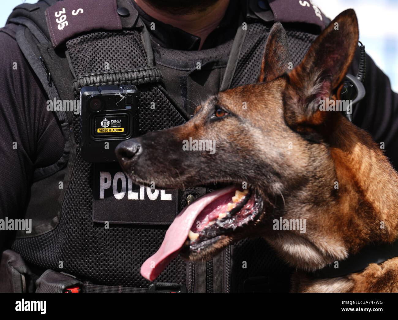 Police dog Amber with handler PC Scott McMaster during the Police ...