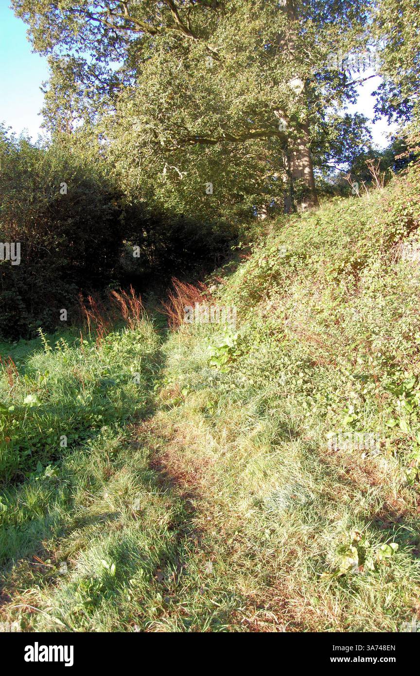 Overgrown curving path around a bank, on farmland in Devon, UK Stock ...