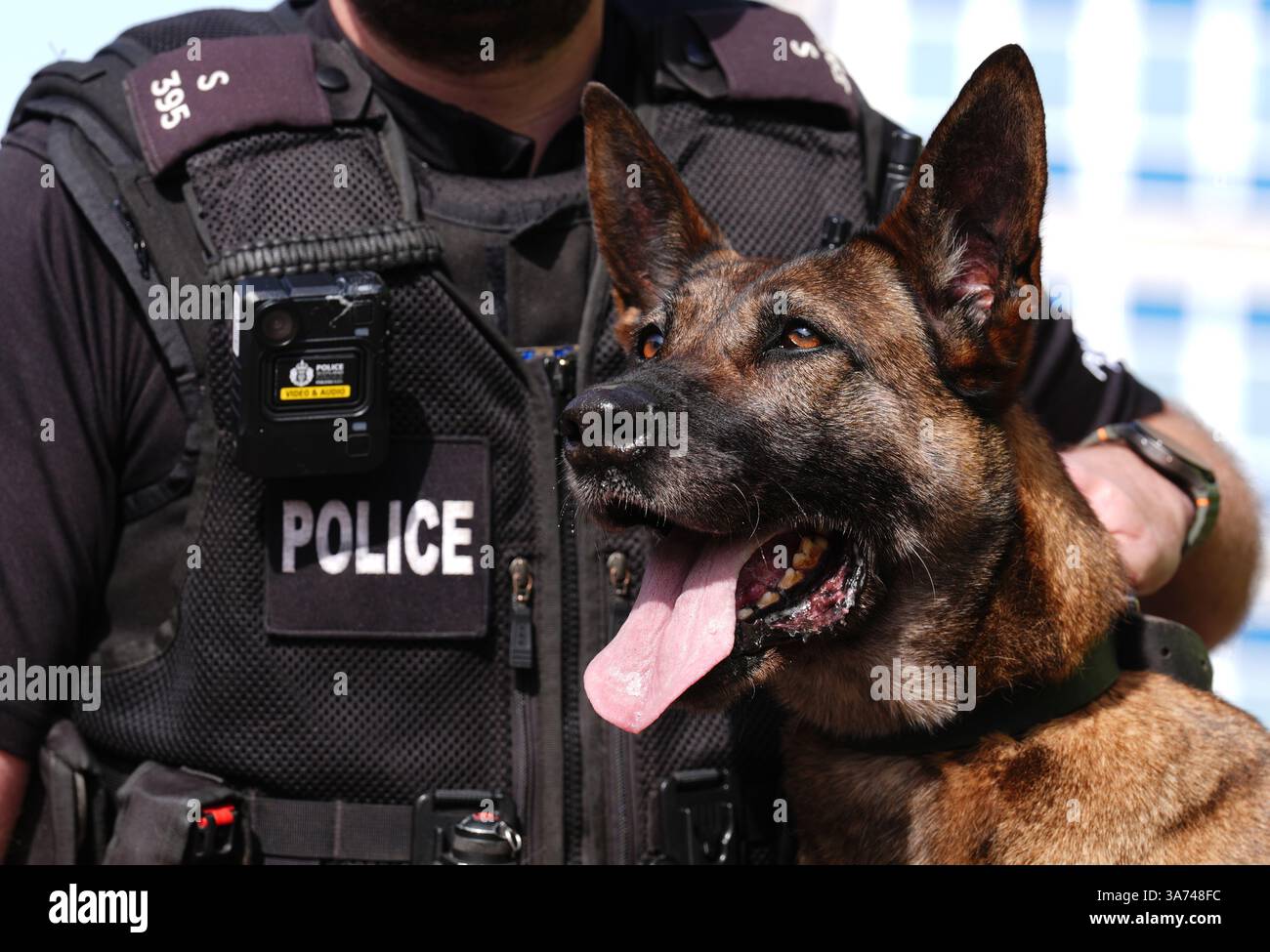 Police dog Amber with handler PC Scott McMaster during the Police ...