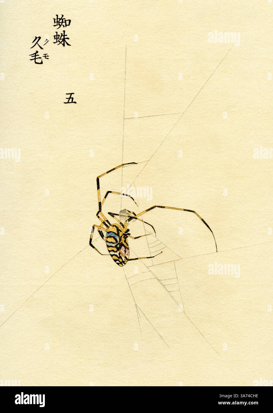 Yamamoto keigu hi-res stock photography and images - Alamy