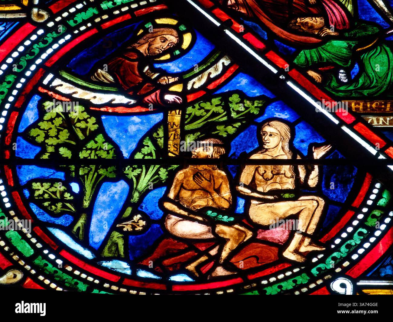 Sens, FRANCE - 10-15-2024: Stained glass (16th century) of Adam and Eve expelled from paradise ...