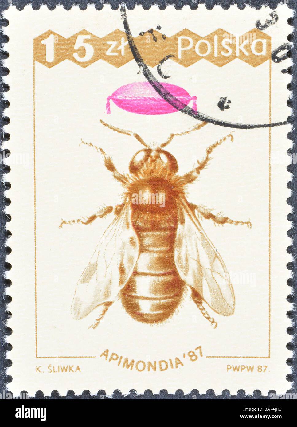 Cancelled postage stamp printed by Poland, that shows Drone (Apis ...