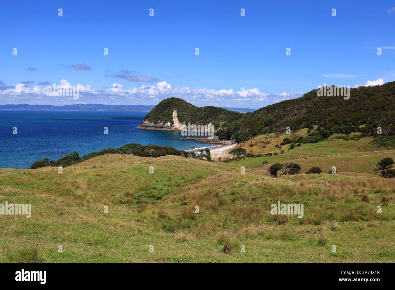 Smuggler's bay is located approximately 30 kilometres southeast of Whangārei city on the ...