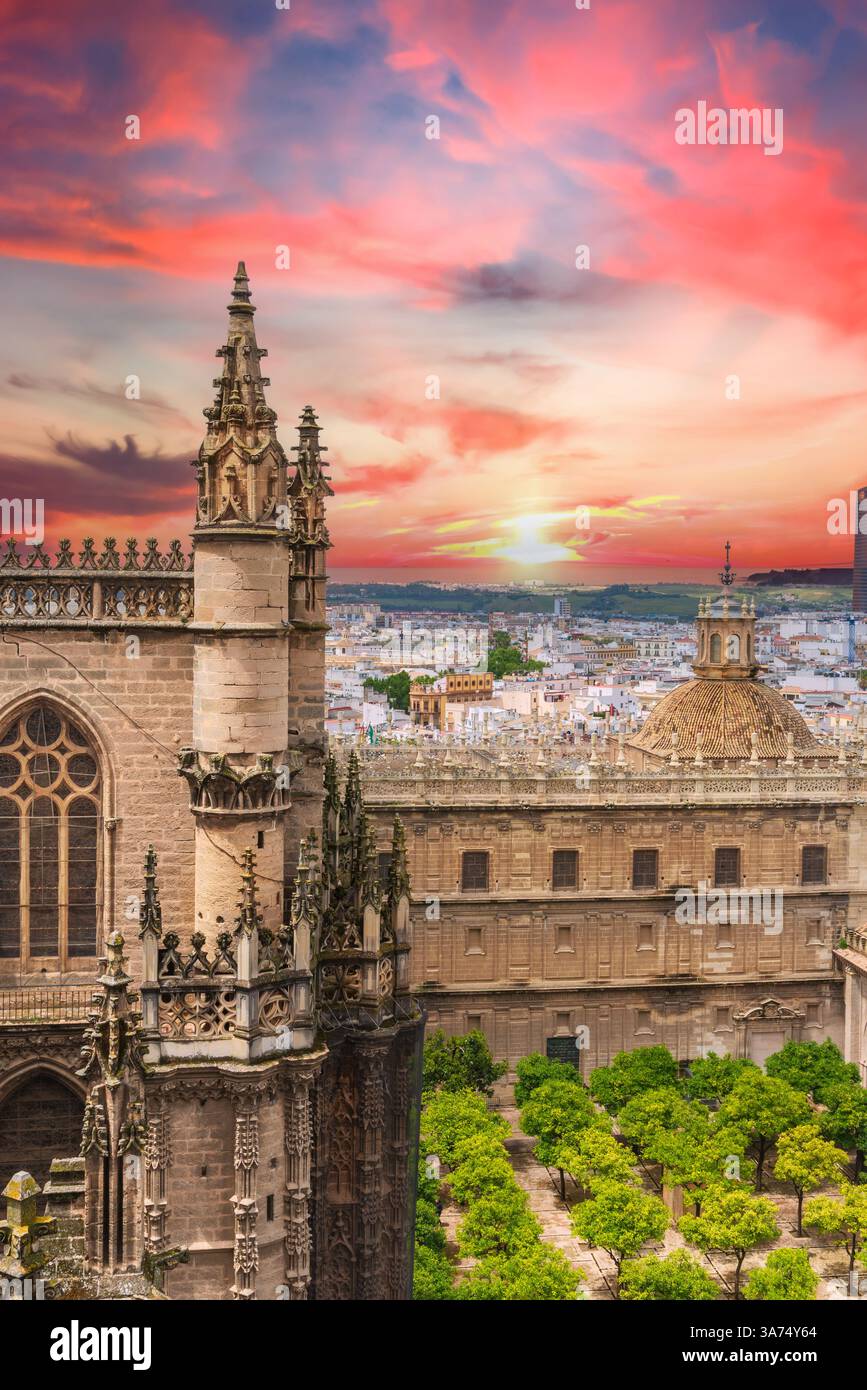 Seville orange tree sunset hi-res stock photography and images - Alamy