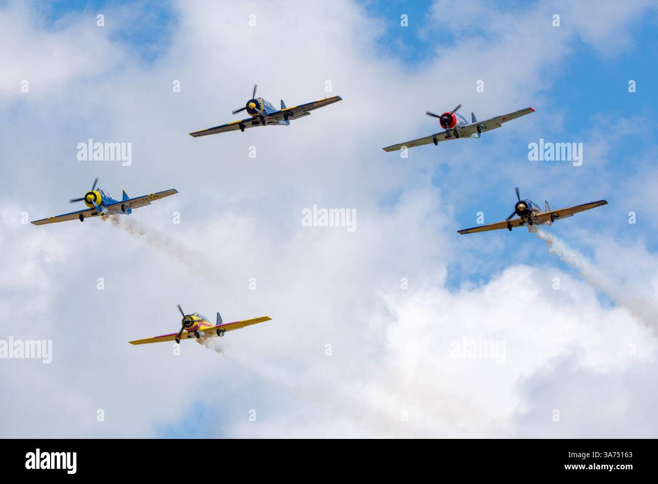 Yakovlev Yak-52 aerobatic aircraft at the Matilla de los Caños airfield ...