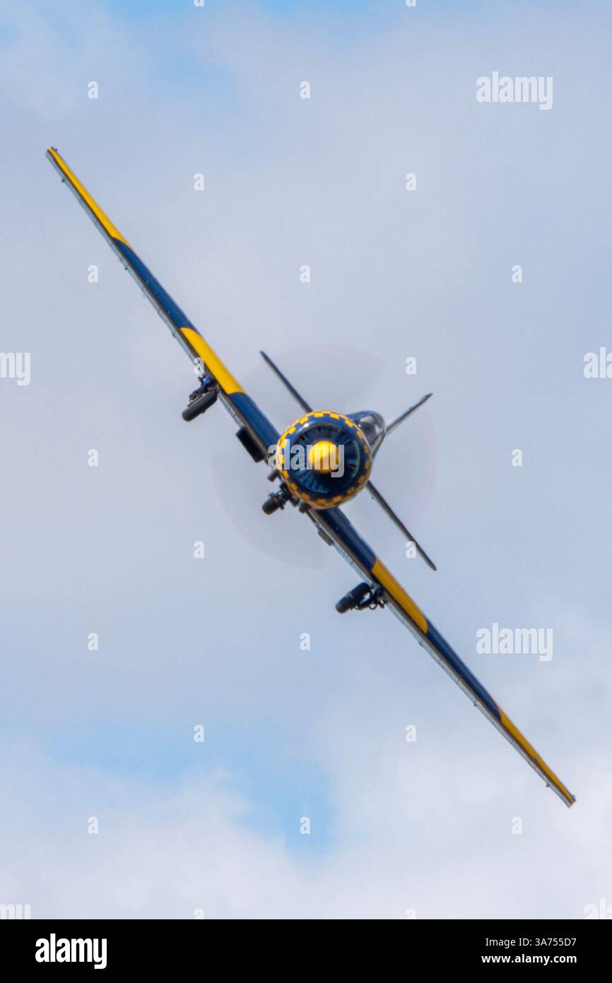 Yakovlev Yak-52 aerobatic aircraft at the Matilla de los Caños airfield ...
