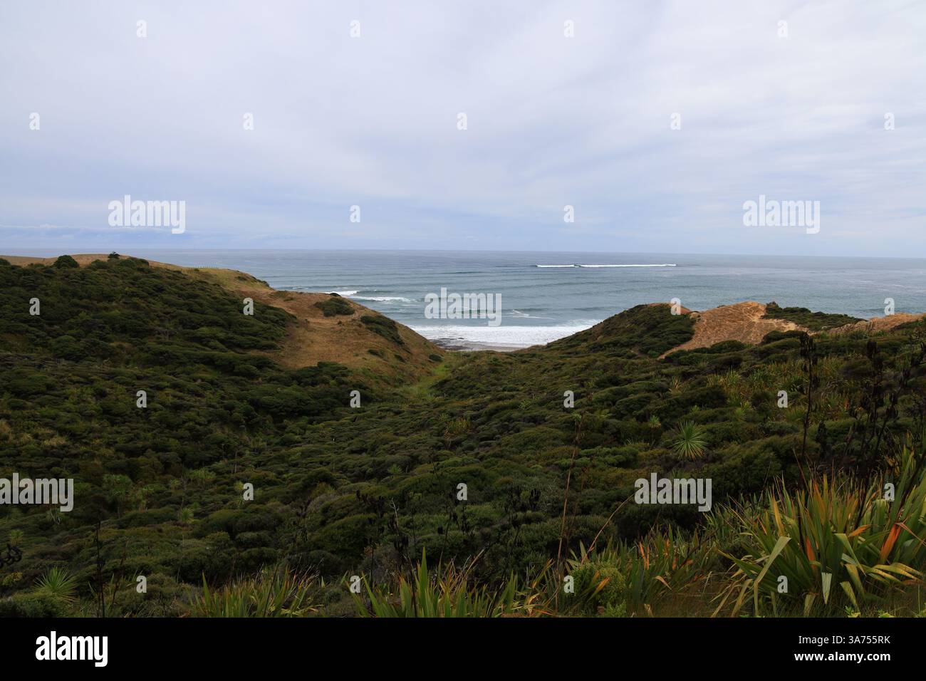 The Hokianga is a long estuarine drowned valley on the west coast in ...