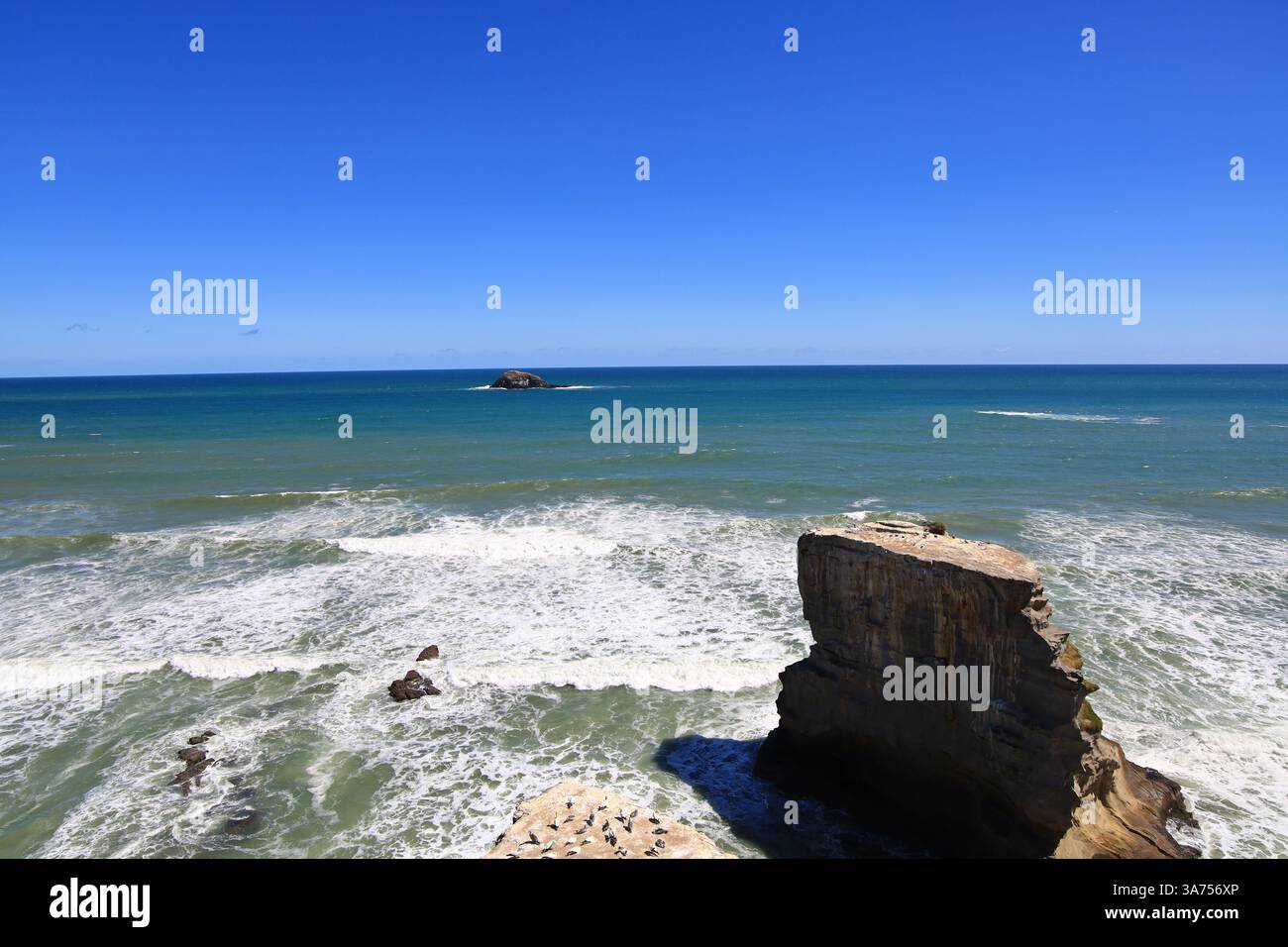 Muriwai Beach is a coastal community on the west coast of the Auckland ...