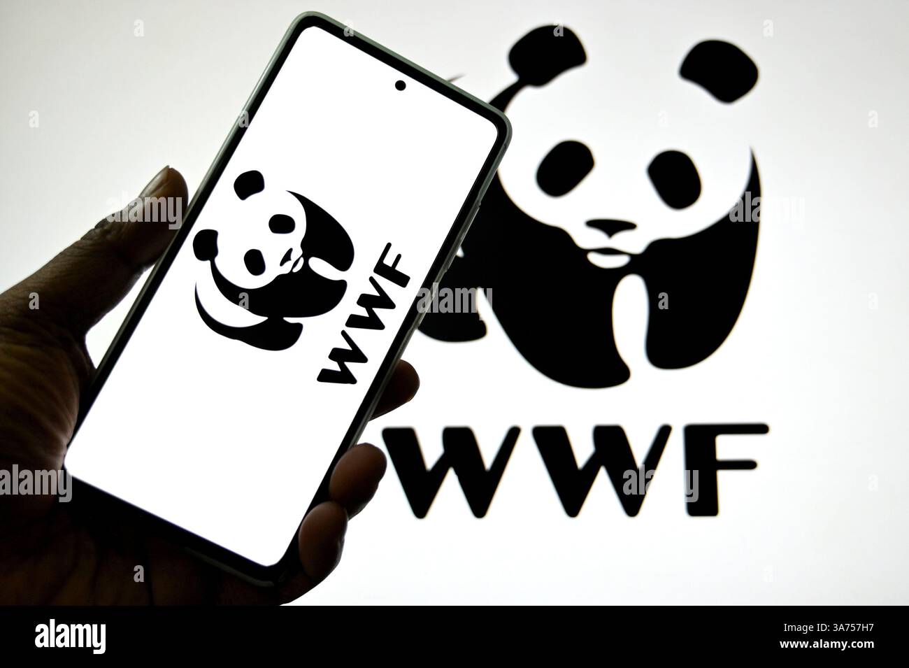 India. 25th Mar, 2025. In this photo illustration, a WWF logo is seen ...