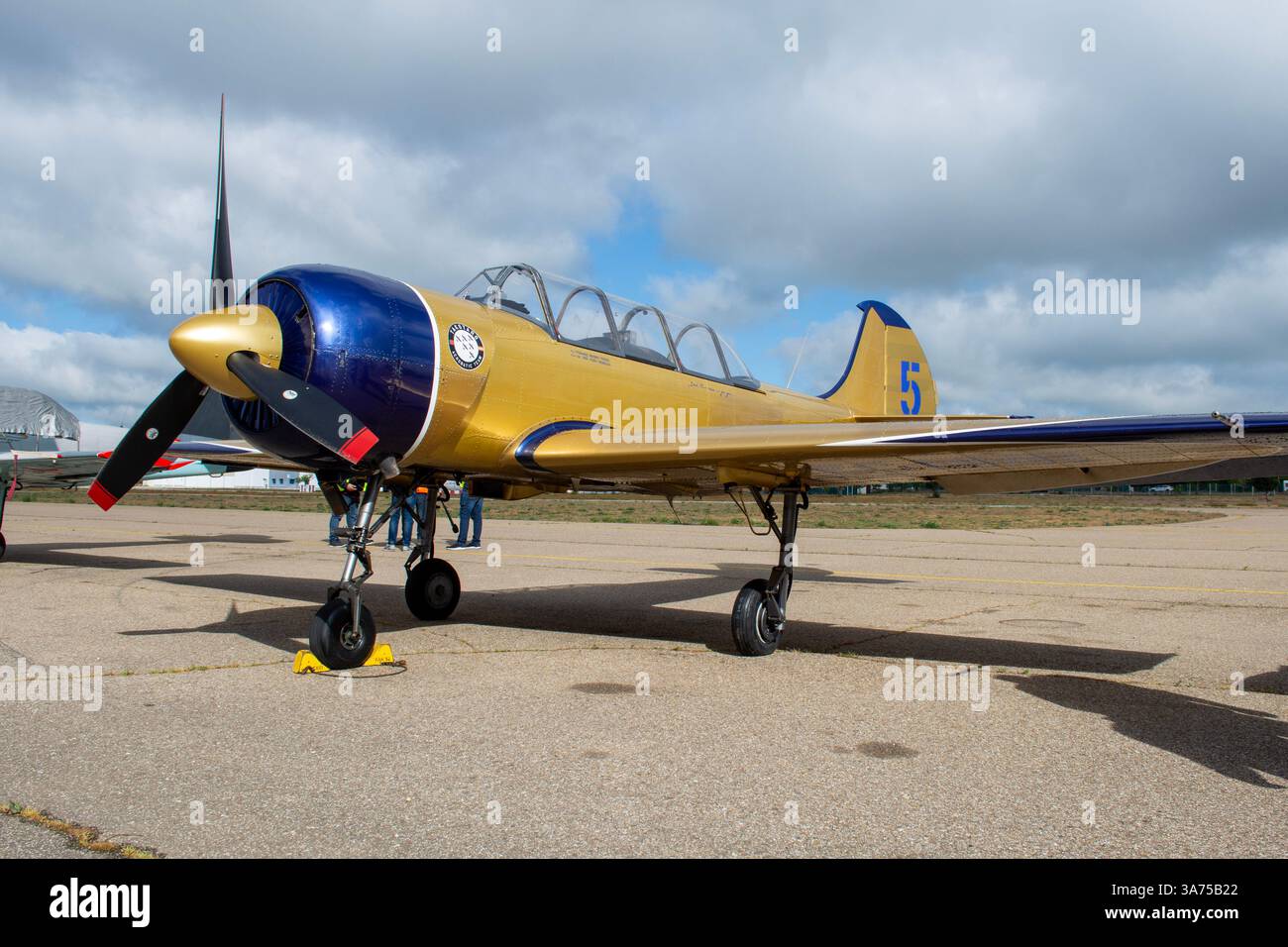 Yakovlev Yak-52 aerobatic aircraft at the Matilla de los Caños airfield ...