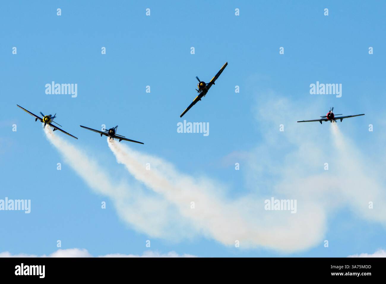 Yakovlev Yak-52 aerobatic aircraft at the Matilla de los Caños airfield ...