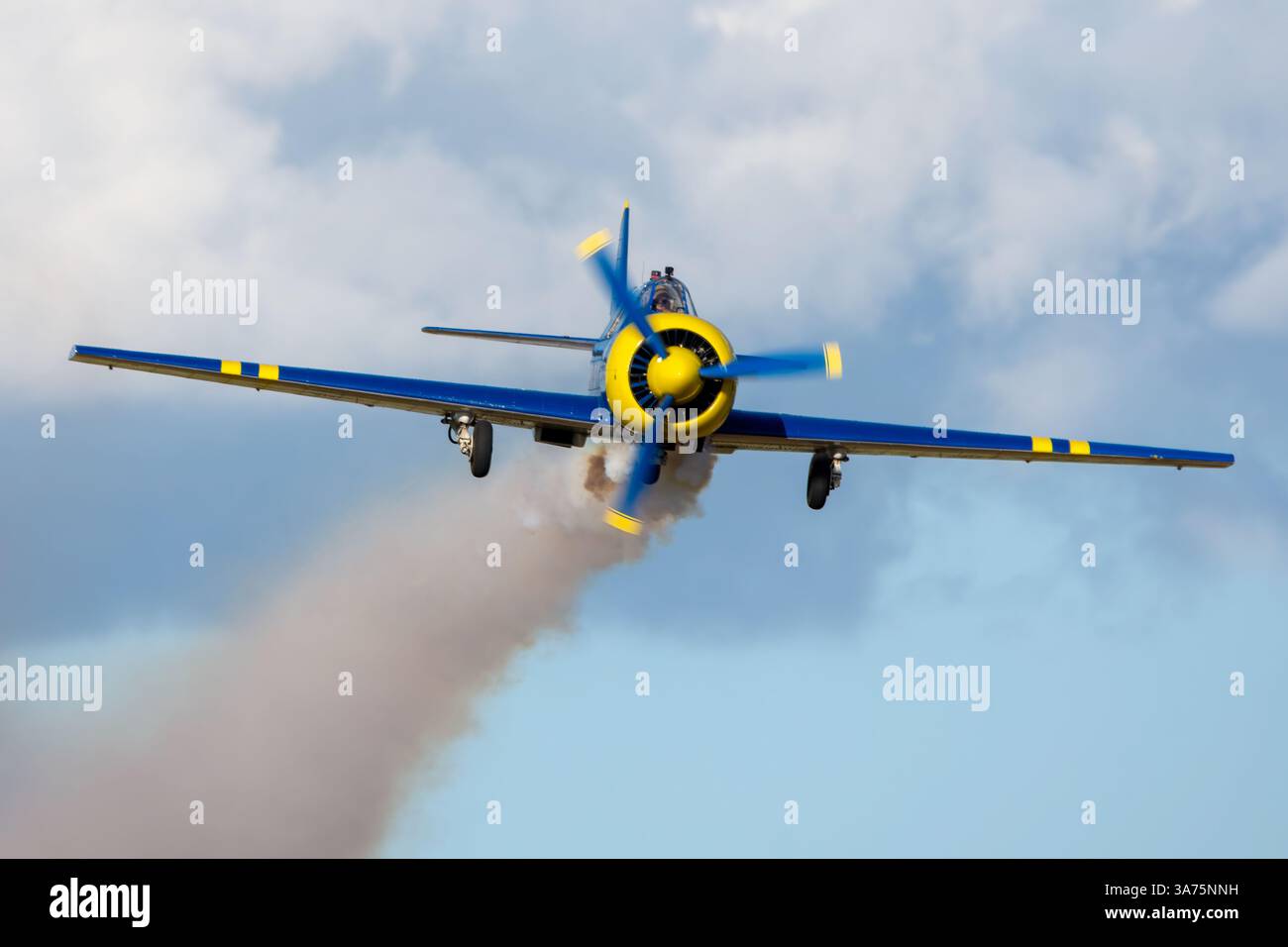 Yakovlev Yak-52 aerobatic aircraft at the Matilla de los Caños airfield ...