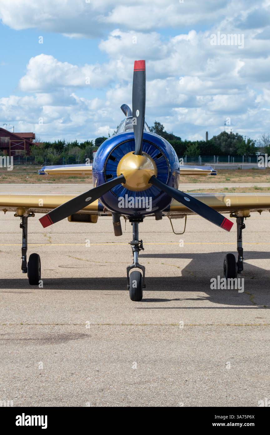 Yakovlev Yak-52 aerobatic aircraft at the Matilla de los Caños airfield ...