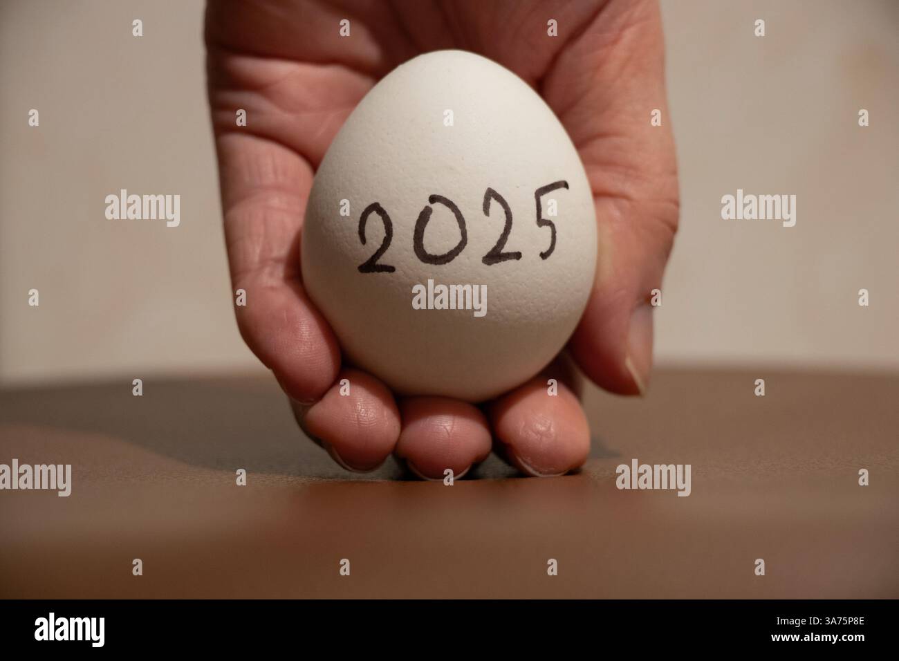 A woman's hand holds a chicken egg with the inscription 2025, egg ...