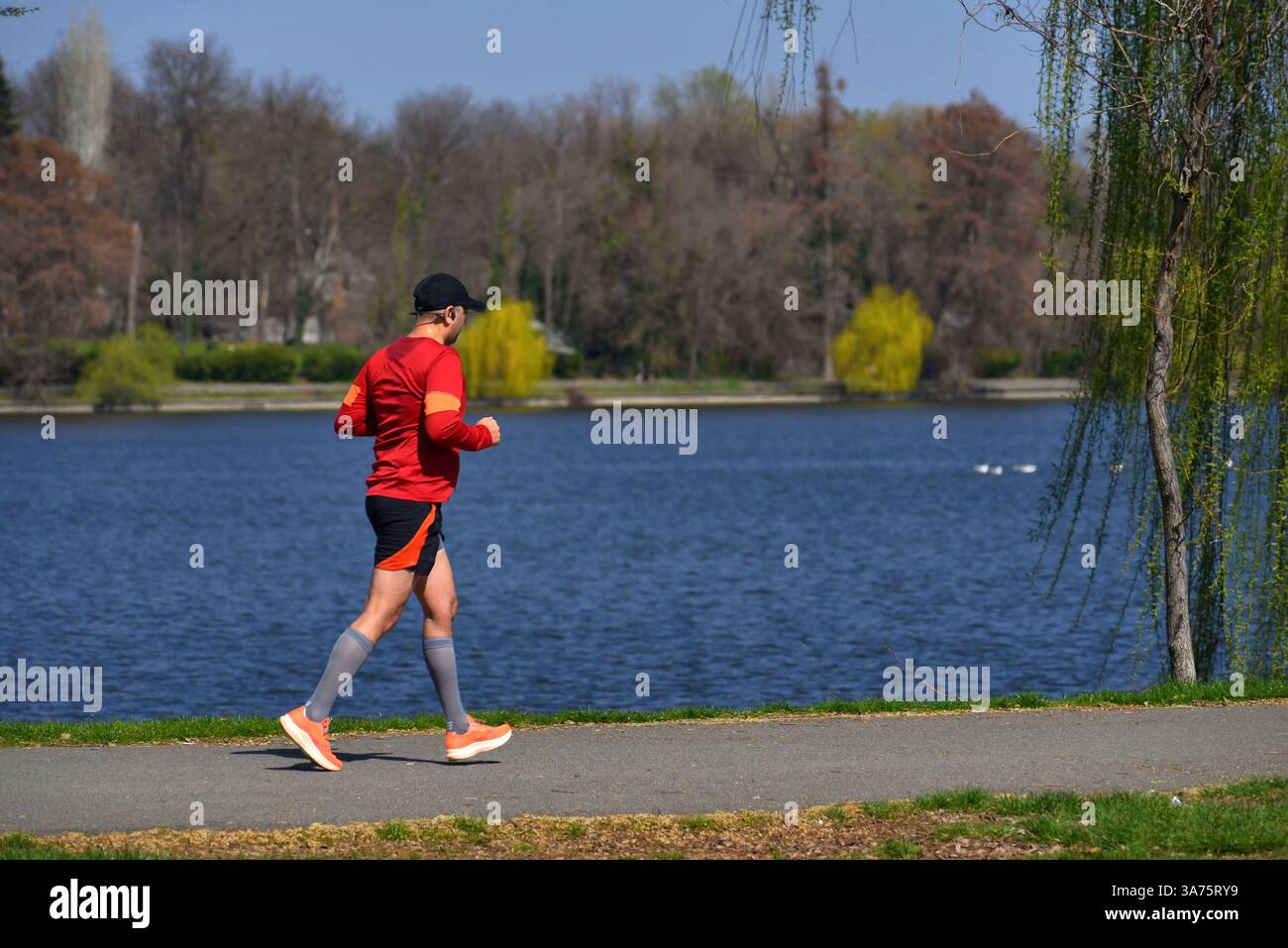 Lone man running in Herastrau Park Bucharest Stock Photo - Alamy