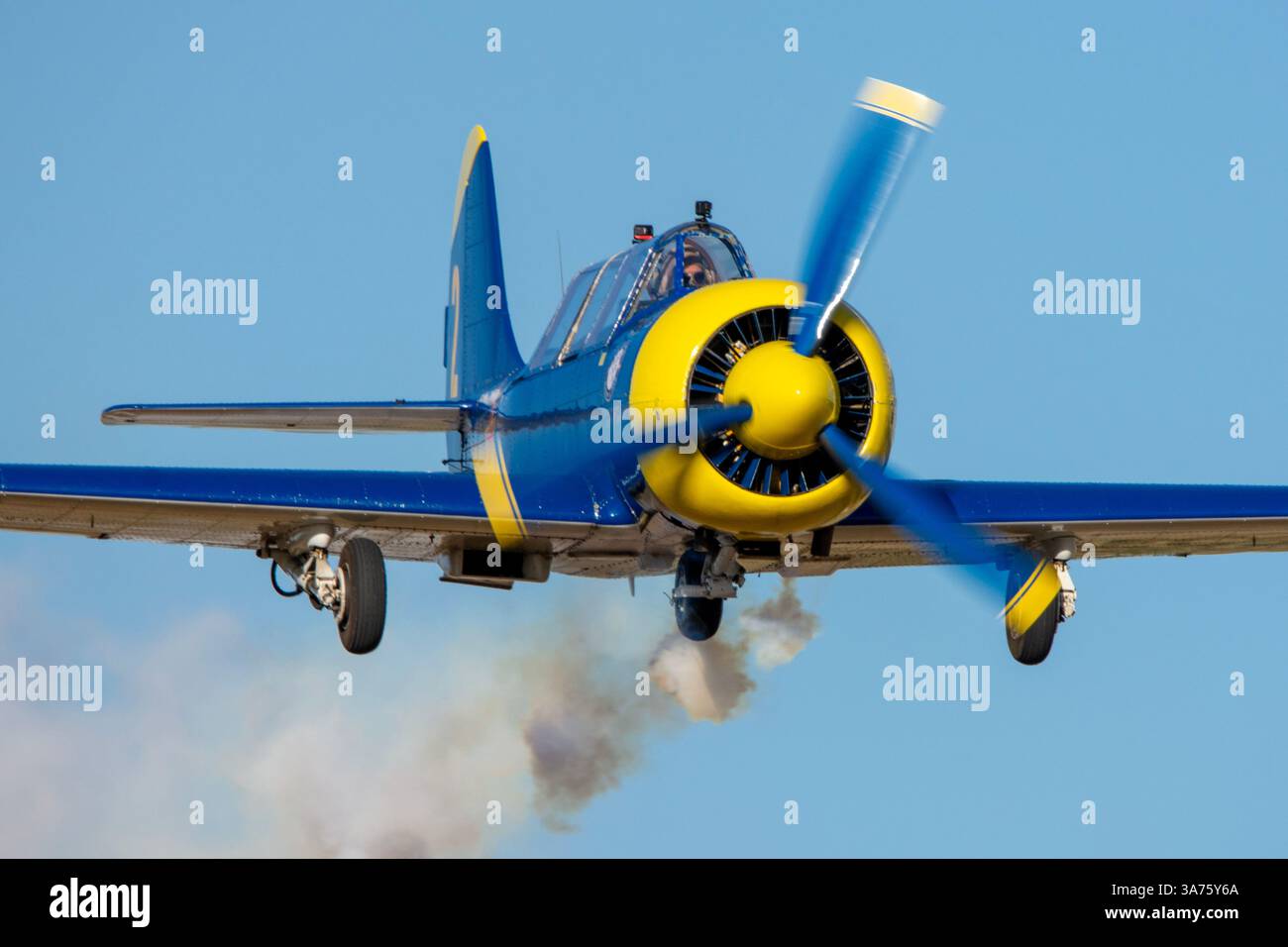 Yakovlev Yak-52 aerobatic aircraft at the Matilla de los Caños airfield ...