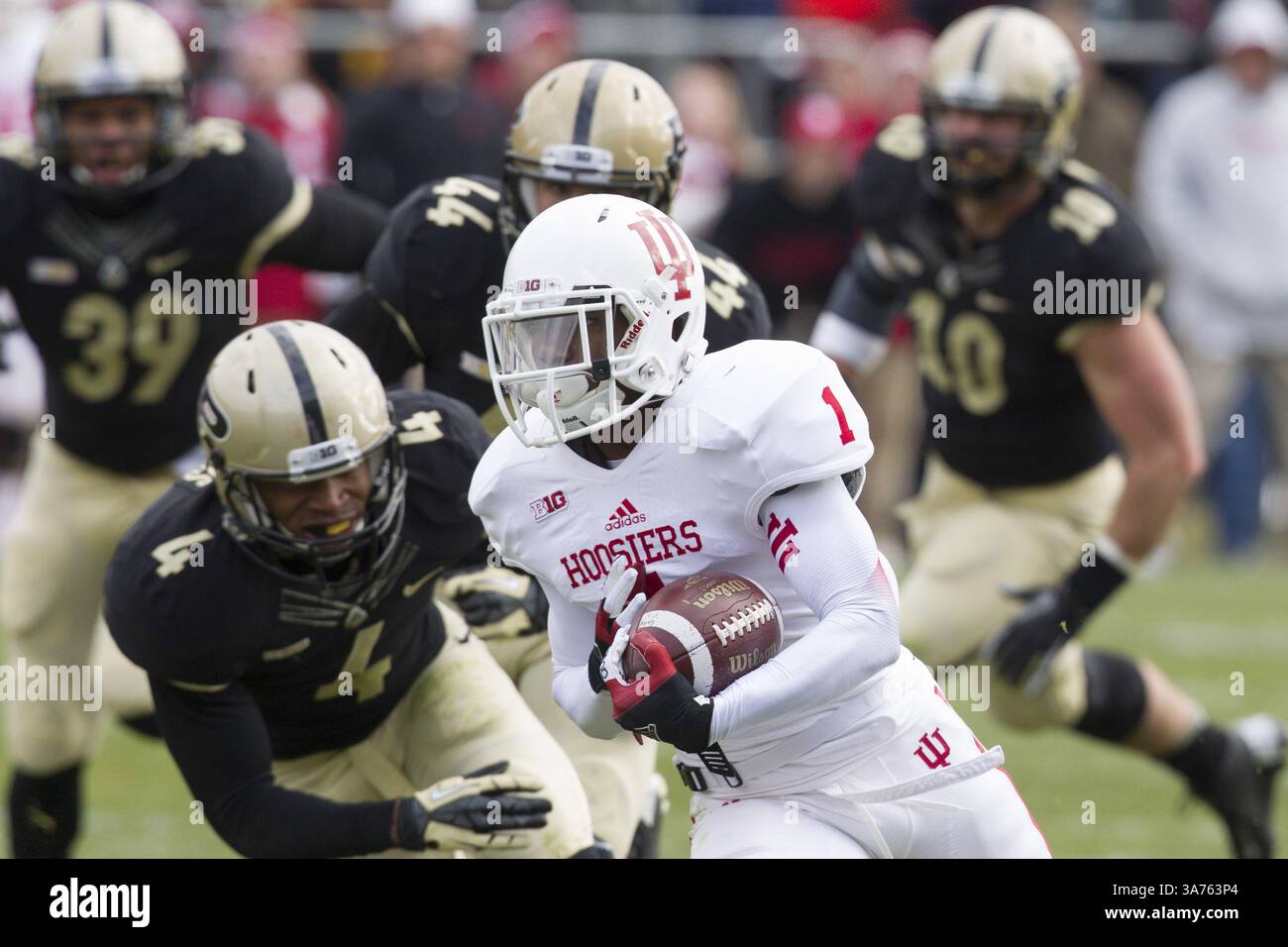 Shane wynn hi-res stock photography and images - Alamy