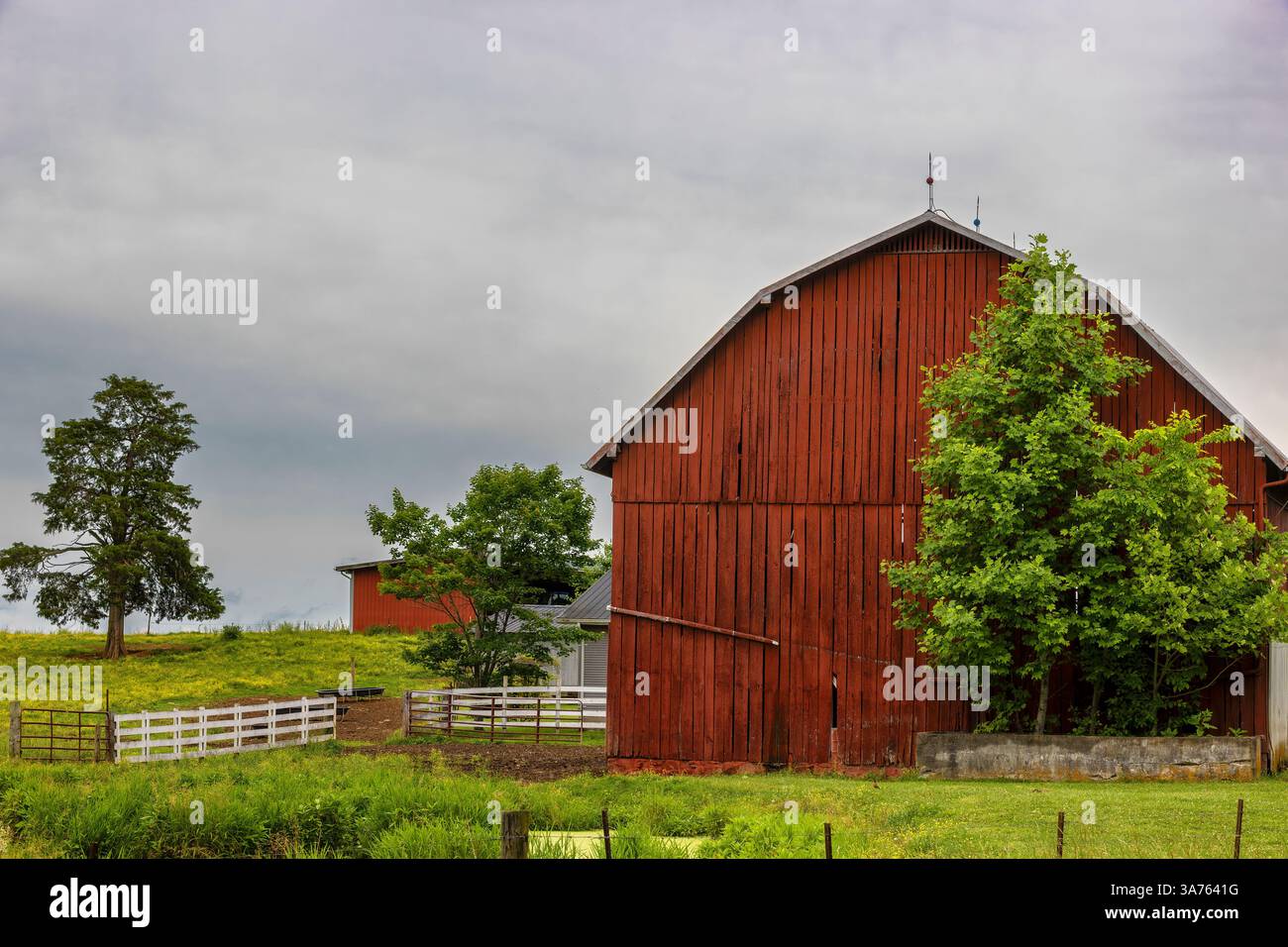 Barbed waire hi-res stock photography and images - Alamy