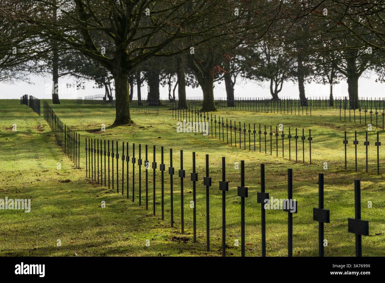 German war graves in Neuville St Vaast cemetery on Western Front near ...