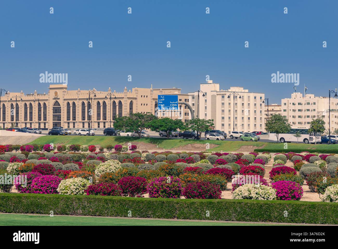 Muscat, Oman. February 10, 2025. Flower garden in Muscat Stock Photo ...