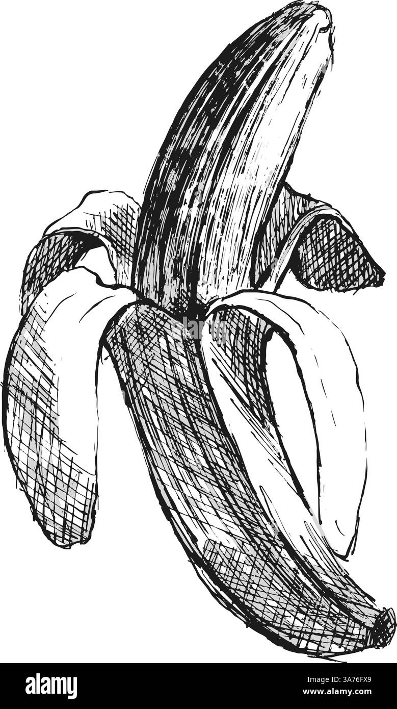 Banana icon graphic ink isolated vector illustration. Peel bananas, yellow fruit and a bunch of ...