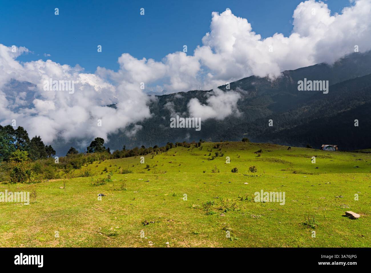 Beautiful Green Rolling Hills and Mountains of Mukharka, Rasuwa in Himalayas of Nepal Stock ...