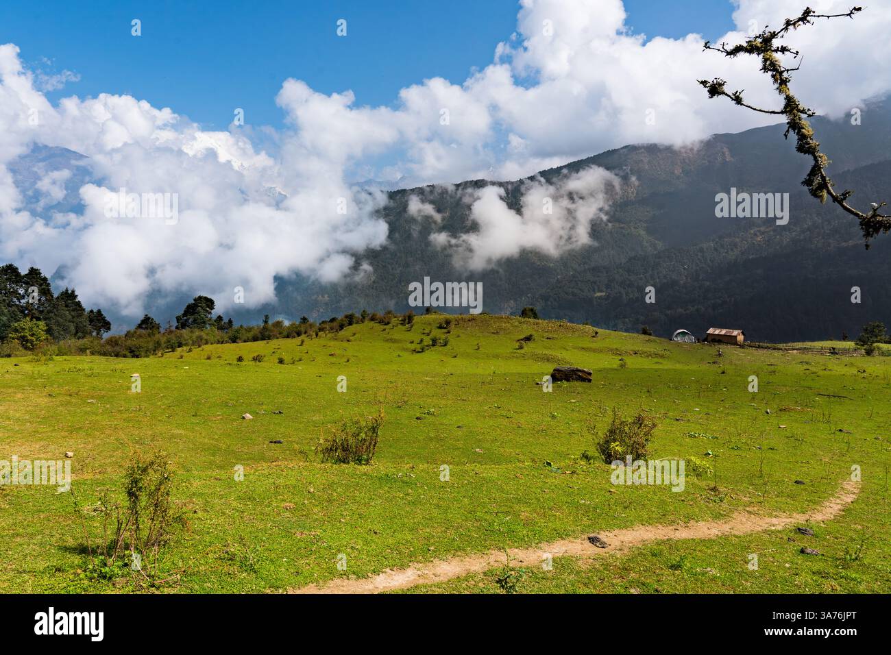 Beautiful Green Rolling Hills and Mountains of Mukharka, Rasuwa in Himalayas of Nepal Stock ...