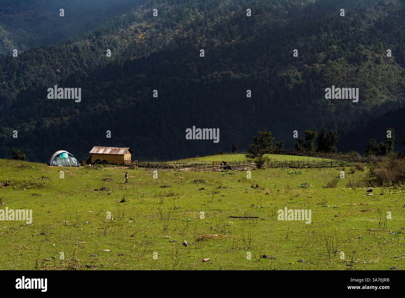 Beautiful Green Rolling Hills and Mountains of Mukharka, Rasuwa in Himalayas of Nepal Stock ...