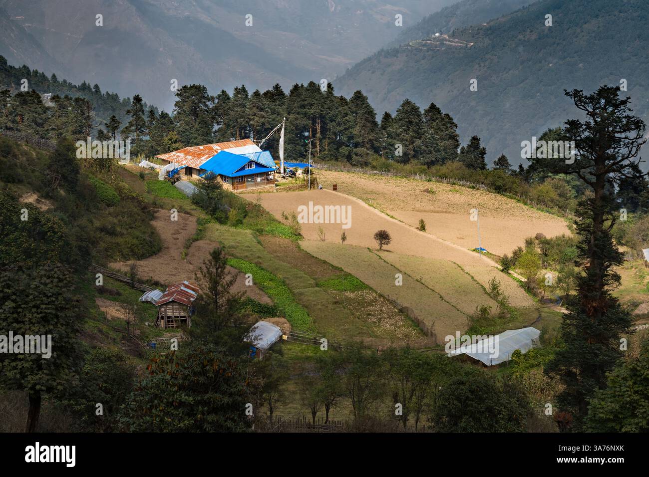 Mukharka, Laurebina, Rasuwa, Nepal - October 20, 2024: Agriculture Nepali Village GreenLandscape ...