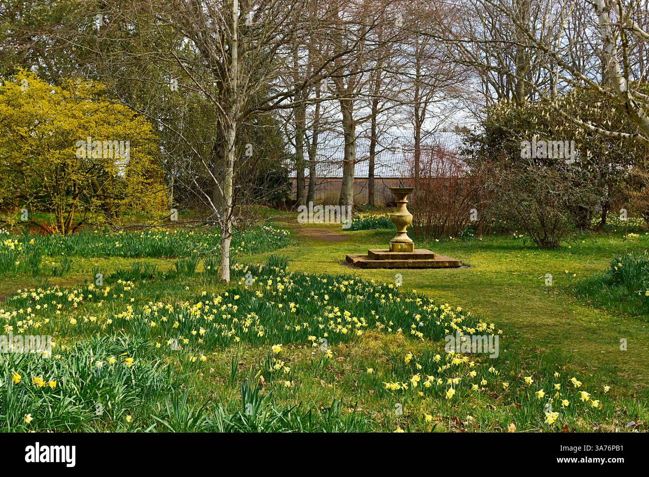 Brodie Castle Moray Scotland an old sundial and daffodils under the ...