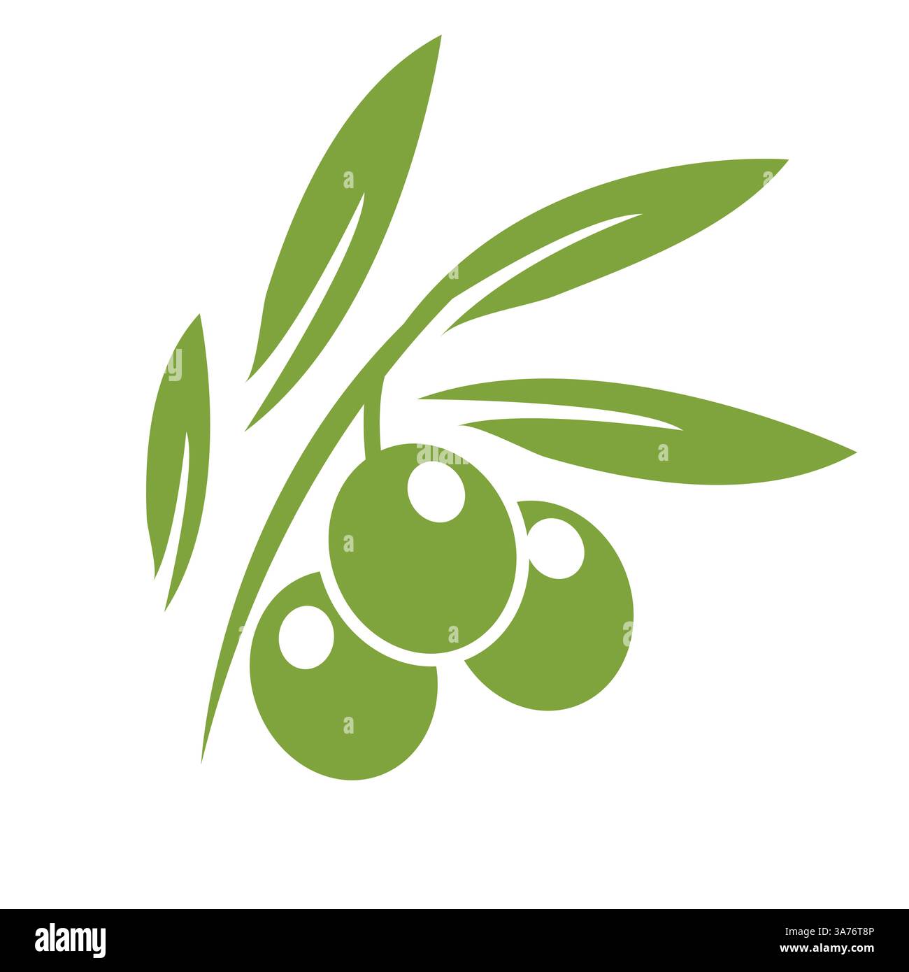 Olive branch with olives, green olive icon vector in flat style illustration isolated on white ...