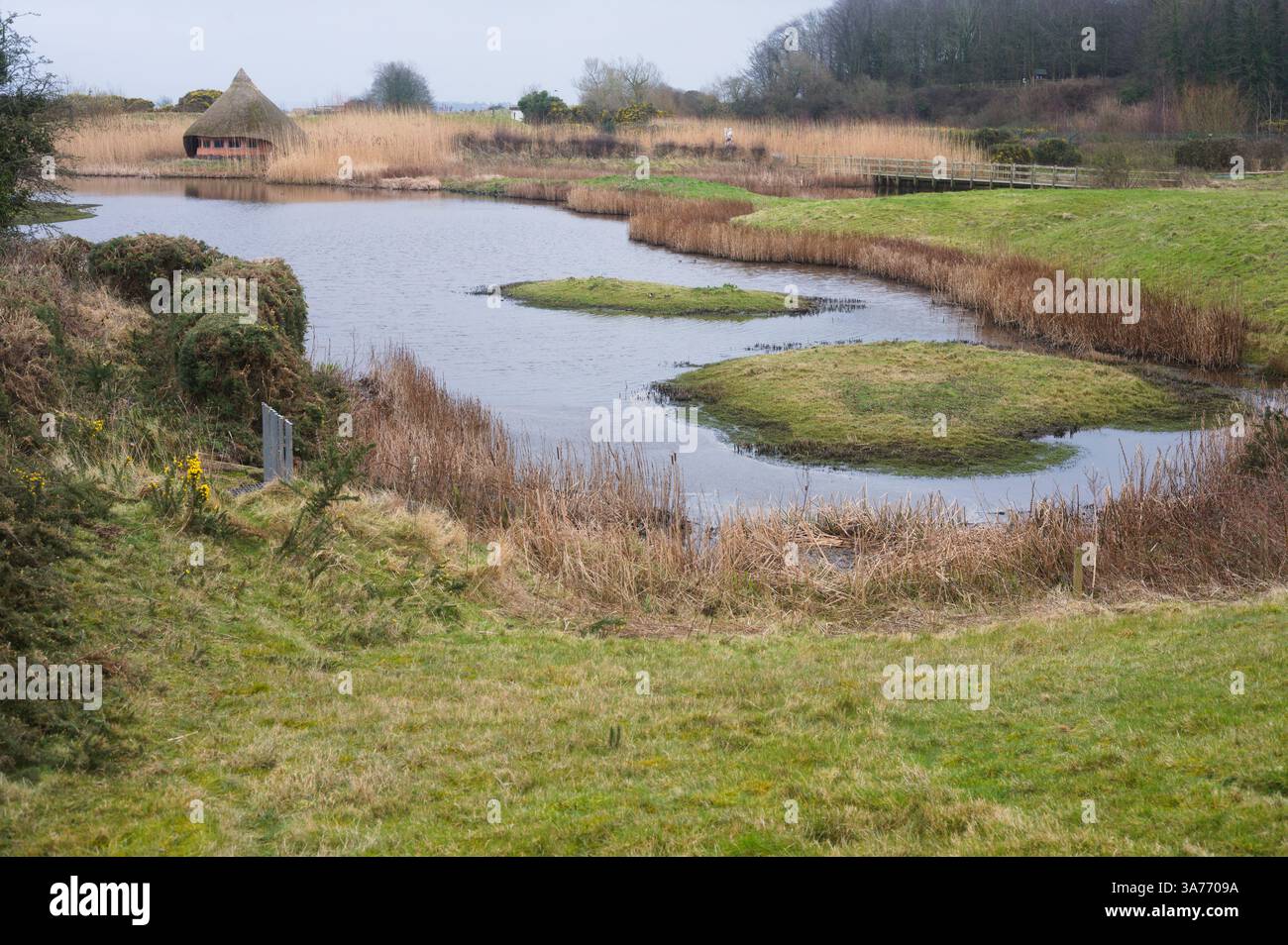 Castle espie spring hi-res stock photography and images - Alamy