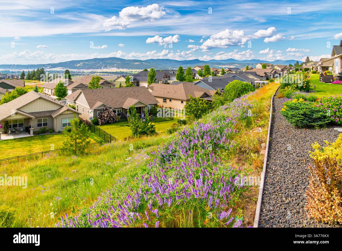 Wildflowers hillside hi-res stock photography and images - Alamy