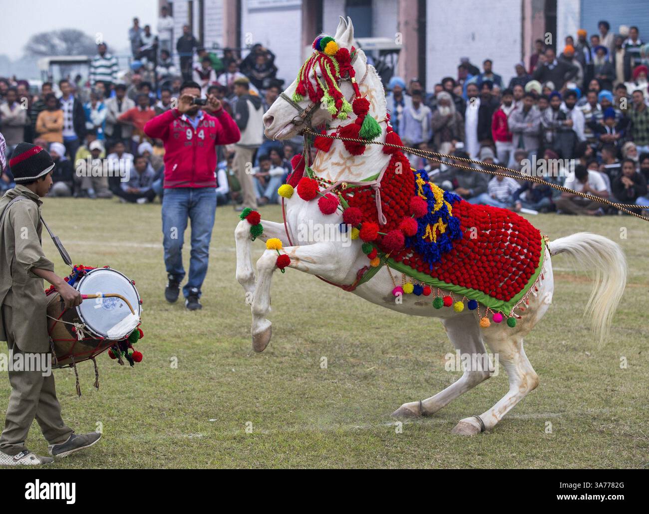 Feb. 3, 2013 - Punjab, India - Dancing Horse at the Games.The Rural ...