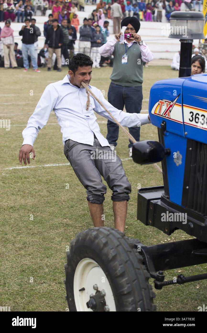 Feb. 3, 2013 - Punjab, India - Pulling a Tractor with his teeth. The ...